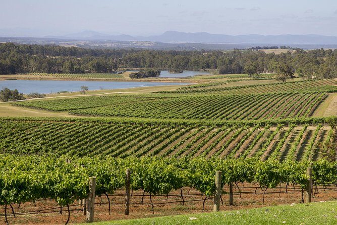 Hunter Valley Wine Tour from Sydney with Lunch and 3 Cellar Door Tastings - Final Thoughts