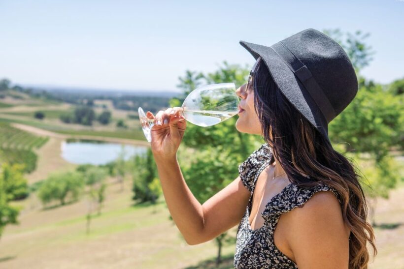 Hunter Valley: Wine Tour with 3 Tastings and Garden Lunch - Why This Tour Might Be Perfect for You