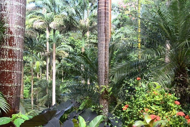 Hunte's Gardens - The Sum Up: Is Hunte’s Gardens Worth It?