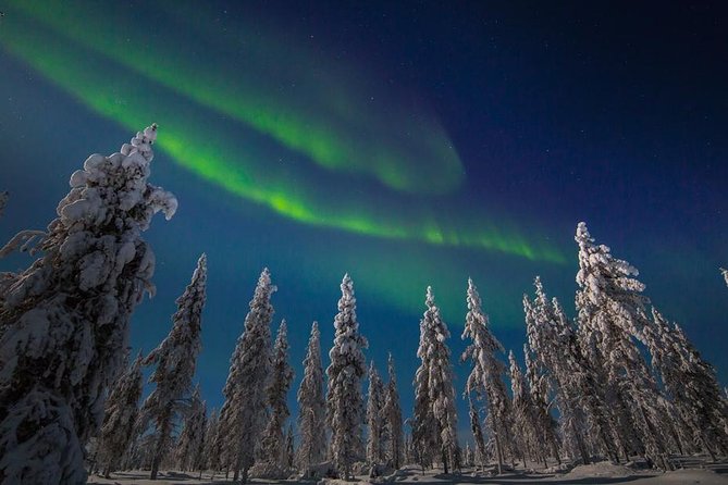 Hunting Northern Lights With Husky - Navigating the Enchanting Winter Landscape