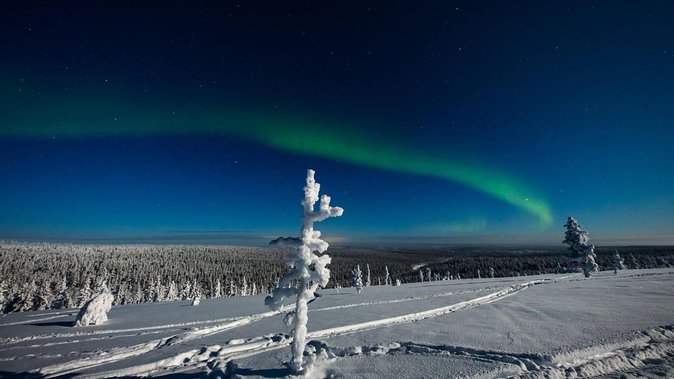 Hunting Northern Lights With Husky - Joining the Quest: Tour Logistics and Participant Details
