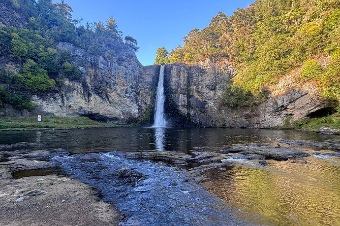Hunua Falls and Blue Springs (Te Waihou): Private Tour - An In-Depth Look at the Tour
