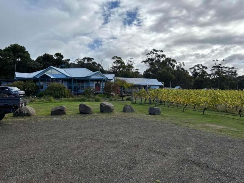 Huon Valley Wine & Cider Tour - Hobart & SE Tasmania - Is This Tour Worth It?