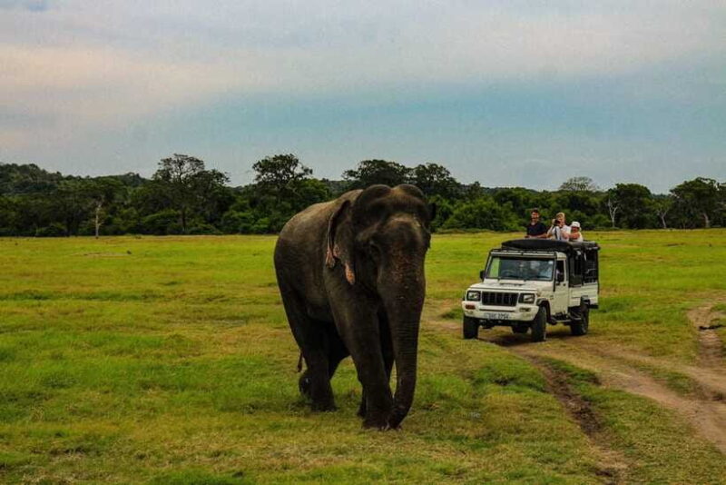 Hurlu eco park safari with jeep & Entrance ticket - Authentic Experiences and Genuine Value