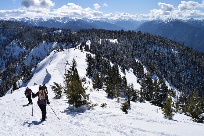 Hurricane Ridge Guided Snowshoe Tour in Olympic National Park - Final Thoughts