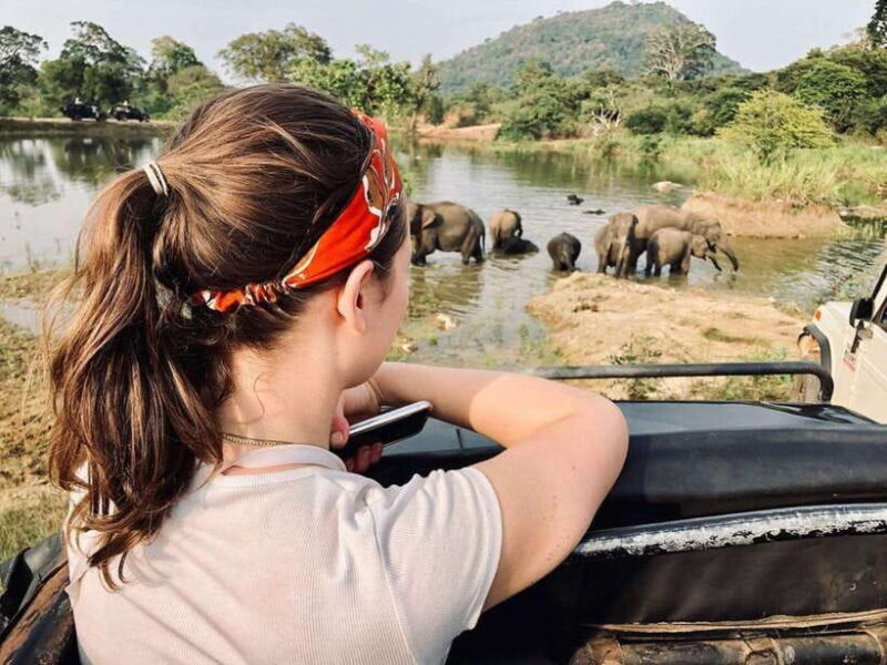 Hurulu Eco Park Habarana Wild Elephant Safari - Detailed Review of the Hurulu Eco Park Safari