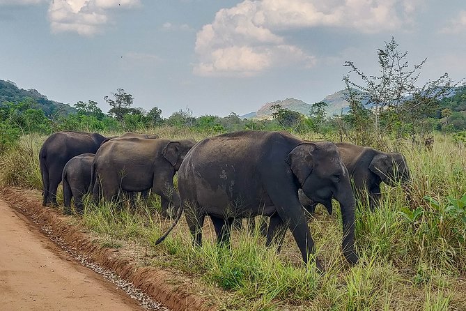 Hurulu Eco Park Private Safari - FAQs