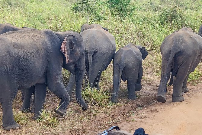 Hurulu Eco Park Private Safari - Final Thoughts