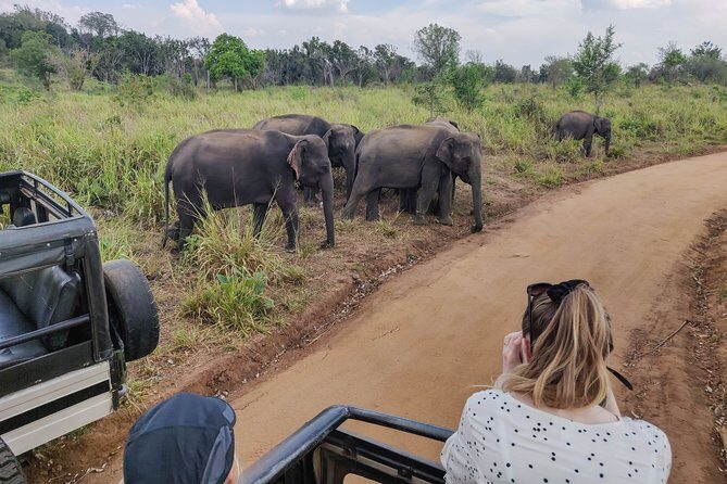 Hurulu Eco Park Private Safari from Sigiriya - An In-Depth Look at the Tour Experience