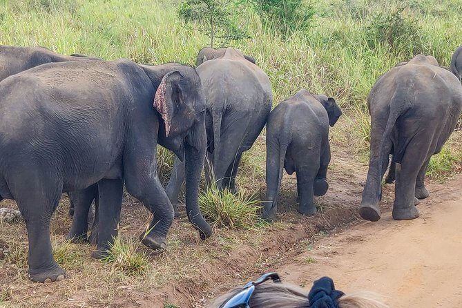 Hurulu Eco Park Private Safari from Sigiriya - The Sum Up