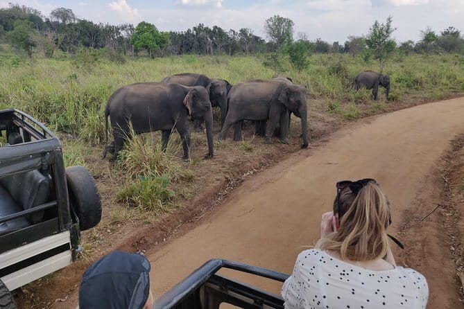 Hurulu Eco Park Safari - An Introduction to the Hurulu Eco Park Safari