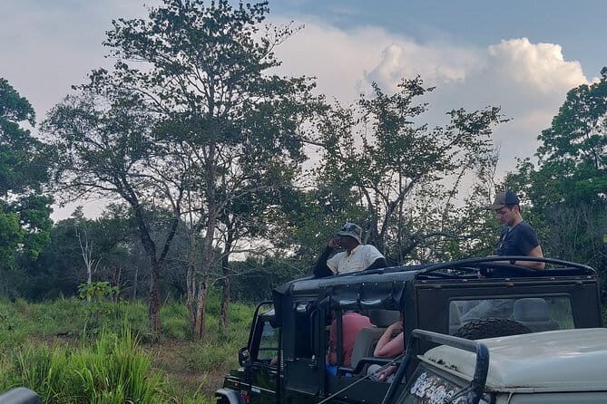 Hurulu Eco Park Safari - What You Can Expect on the Tour