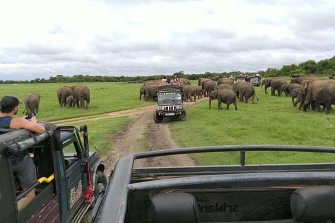 Hurulu Eco Park Safari from Polonnaruwa - Who Should Consider This Tour?