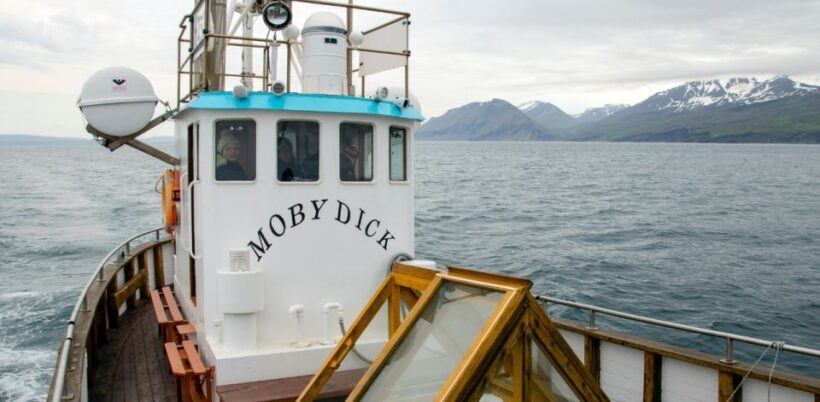 Húsavík: Family-Run and Guided Whale Watching Tour - Why Choose This Whale Watching Tour?