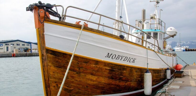 Húsavík: Family-Run and Guided Whale Watching Tour - What to Expect in Terms of Experience