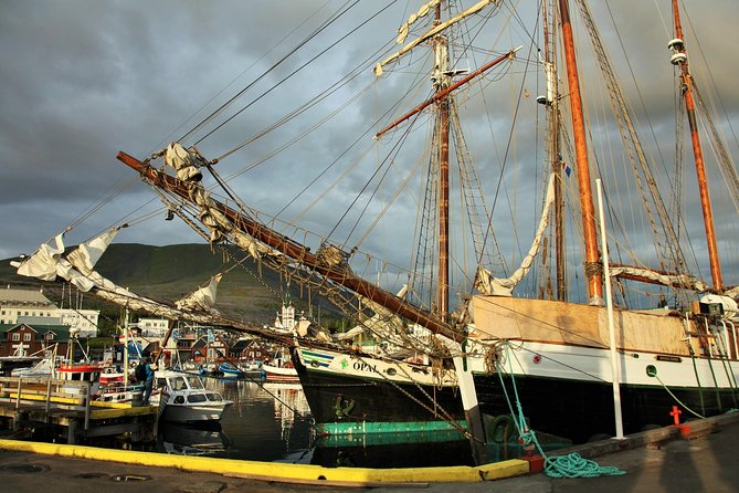 Húsavík walking tour - The Guide and Group Dynamics