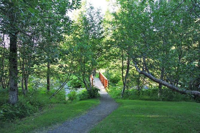 Húsavík walking tour - Practical Tips for Travelers