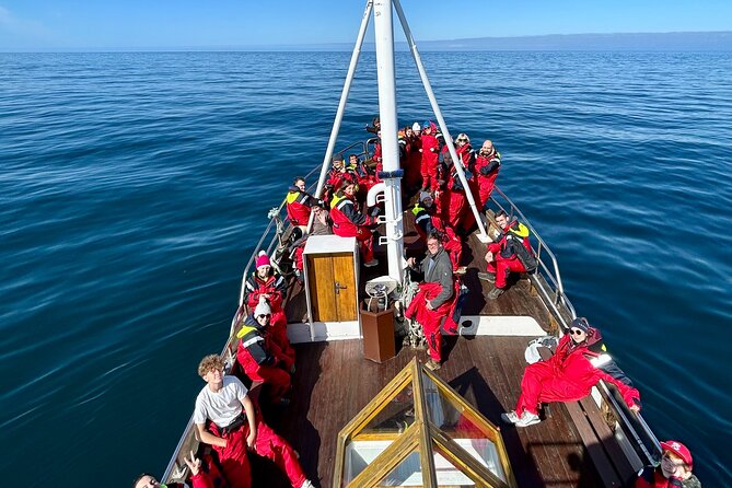 Húsavík Whale Watching Tour, family owned and operated - What Travelers Say