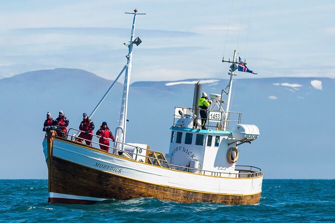 Húsavík Whale Watching Tour Review - About Your Stay