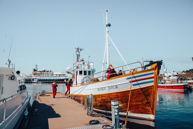 Húsavík Whale Watching Tour Review - Expert Guidance and Personalized Tours