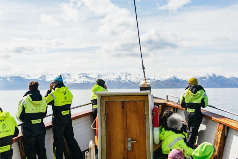 Húsavík: Whale Watching Tour with Guide - Price and Value