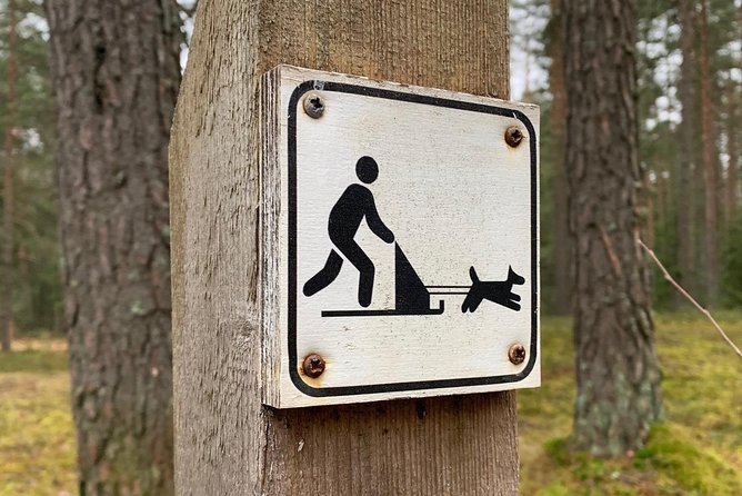 Husky Dog Sled/Bike Kart Ride in Latvia ~ 3h Group Tour From Riga - Rental and Souvenir Offerings