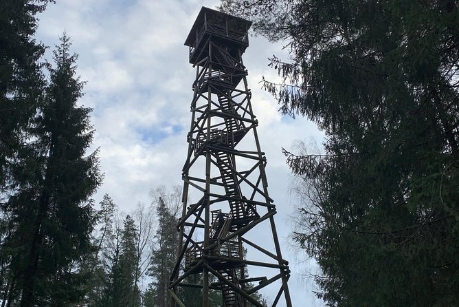 Husky Dog Sled/Bike Kart Ride in Latvia ~ 3h Group Tour From Riga - Cancellation and Accessibility