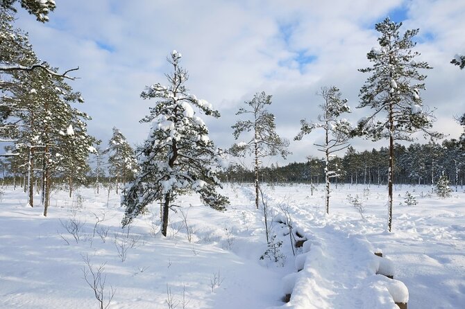 Husky Dog Sledding Tour From Riga - Pricing and Cancellation Policy