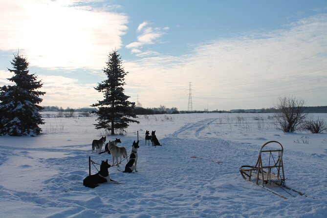 Husky Dog Sledding Tour From Riga - Prepare for Your Adventure