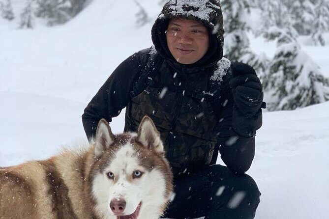 Husky Hikes Private Mountain Tours - The Experience You’ll Enjoy