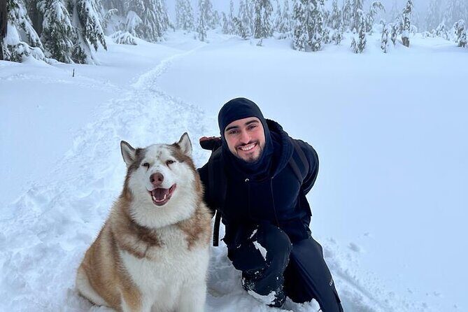 Husky Hikes Private Mountain Tours - The Sum Up: Who Will Love Husky Hikes