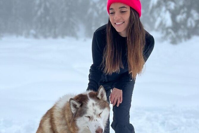 Husky Hikes Private Mountain Tours - FAQ: Practical Questions About Husky Hikes