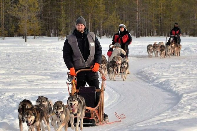 Husky Safari From Levi 2 KM or 5 KM With Husky Sledge Ride - Accessibility and Recommendations