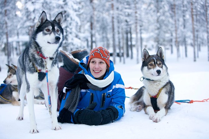 Husky Safari from Rovaniemi Including a Husky Sled Ride - Rovaniemi Husky Safari: An Authentic Arctic Adventure