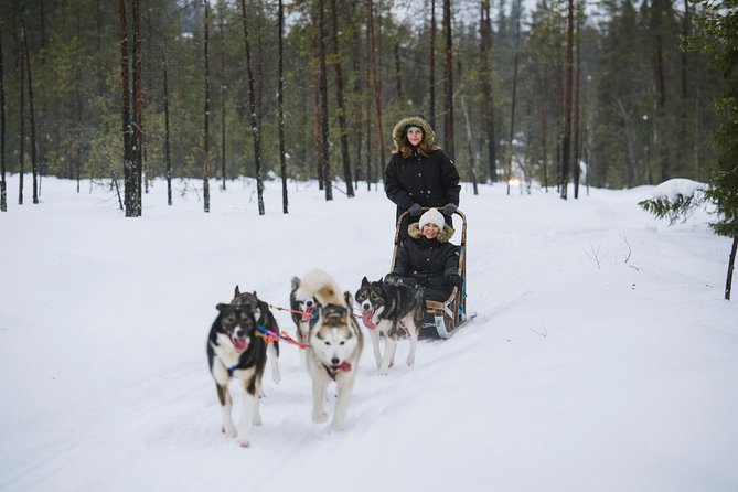 Husky Safari from Rovaniemi Including a Husky Sled Ride - Value for Money and Authenticity