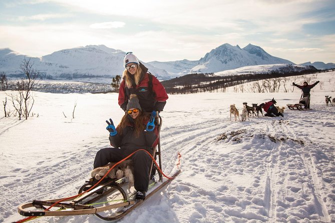 Husky Sledding Self-Drive Adventure in Tromso - The Experience’s Strengths: Why Travelers Rave