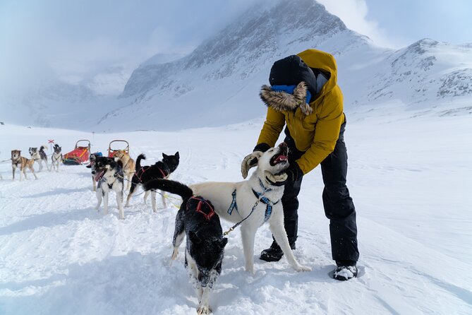 Husky Sledding Tour - Inclusions and Amenities