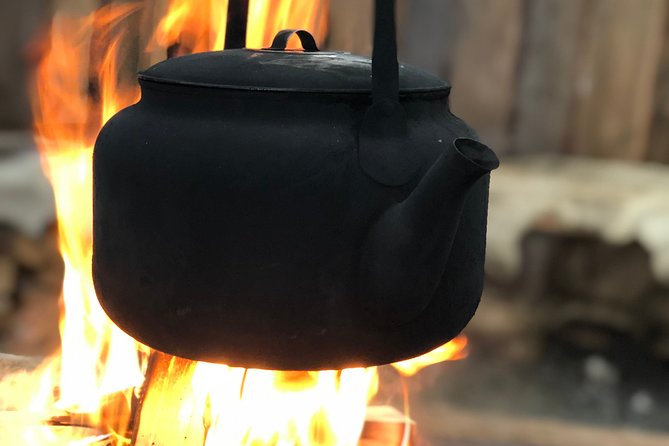 Husky Tour Sit and Drive Combo Tour From Kiruna - Interaction With the Huskies