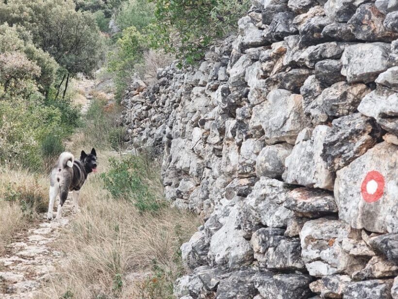Hvar: Guided Hiking Tour in the Countryside - Highlights of the Tour