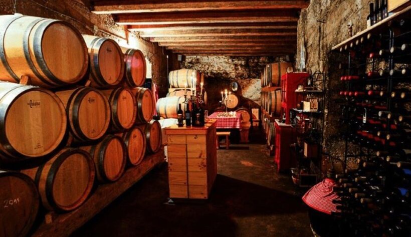 Hvar: Island tour with Wine and Olive Oil Tasting - The Winery Experience in Jelsa