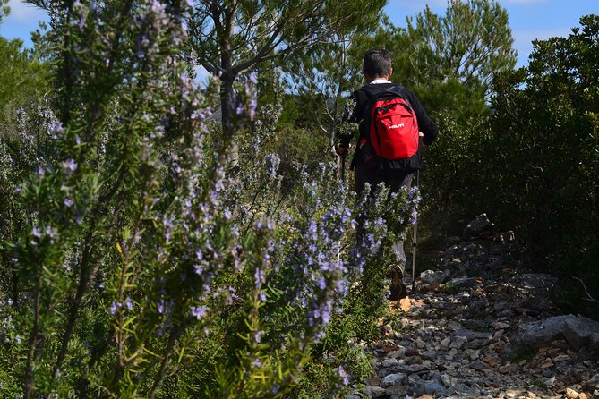 Hvar Lavender Tour - Preparation and Recommendations