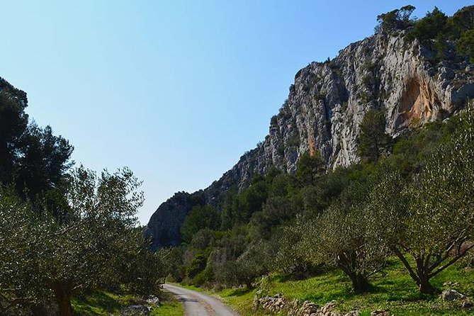 Hvar Lavender Tour - Discovering Hvars Rich Culture