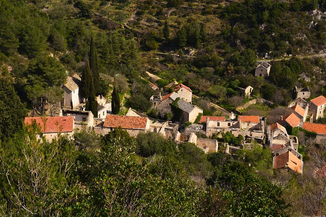 Hvar Lavender Tour - Frequently Asked Questions