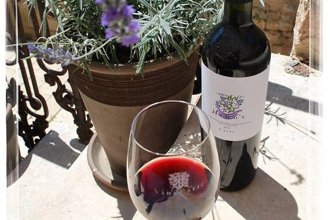 Hvar Small Group Wine Tour and Authentic Dalmatian Dinner - Customer Experiences and Reviews