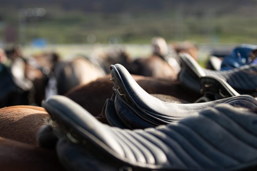 Hveragerdi: Countryside Charm Horse Riding Tour - An Honest Look at What You Can Expect