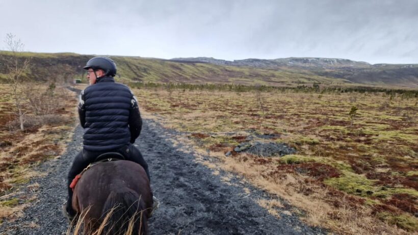 Hveragerði: Horseback Riding Tour for Beginners and - The Sum Up