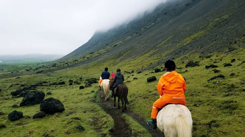 Hveragerdi: Reykjadalur (Hotspring Valley) Horse Riding Tour - What Riders Say