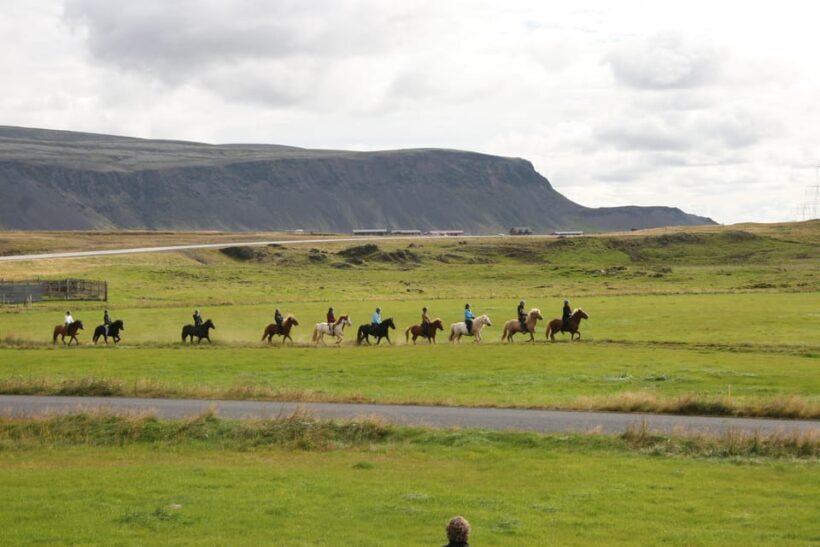 Hveragerdi: The Siggi Horse Riding Tour - Hveragerdi: The Siggi Horse Riding Tour