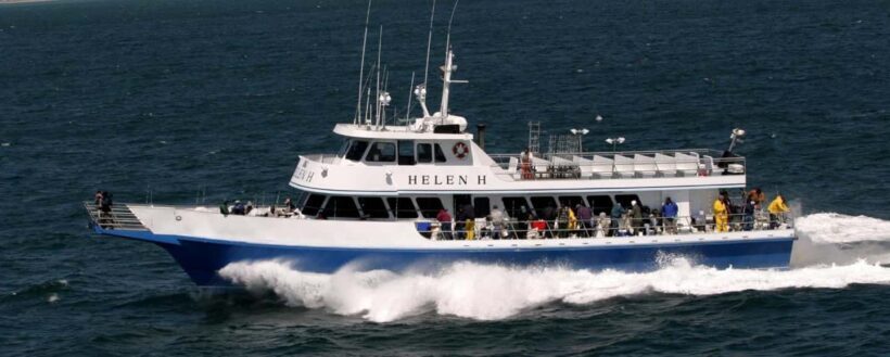 Hyannis: Margarita Sunset Cruise in Hyannis Harbor - Who Will Love This Experience?
