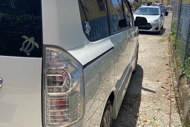 Hyatt Ziva Rose Hall Private Airport Transfer - Who Will Benefit Most?